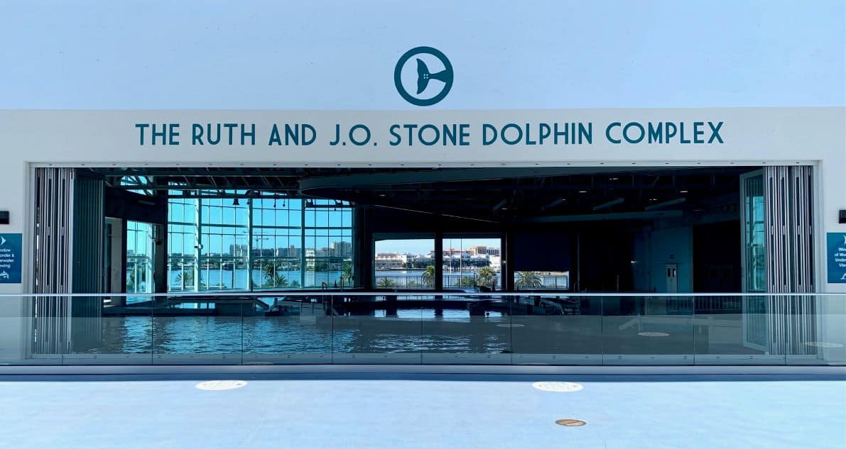 Shellebrate Spring and Discover Dinos at Clearwater Marine Aquarium!