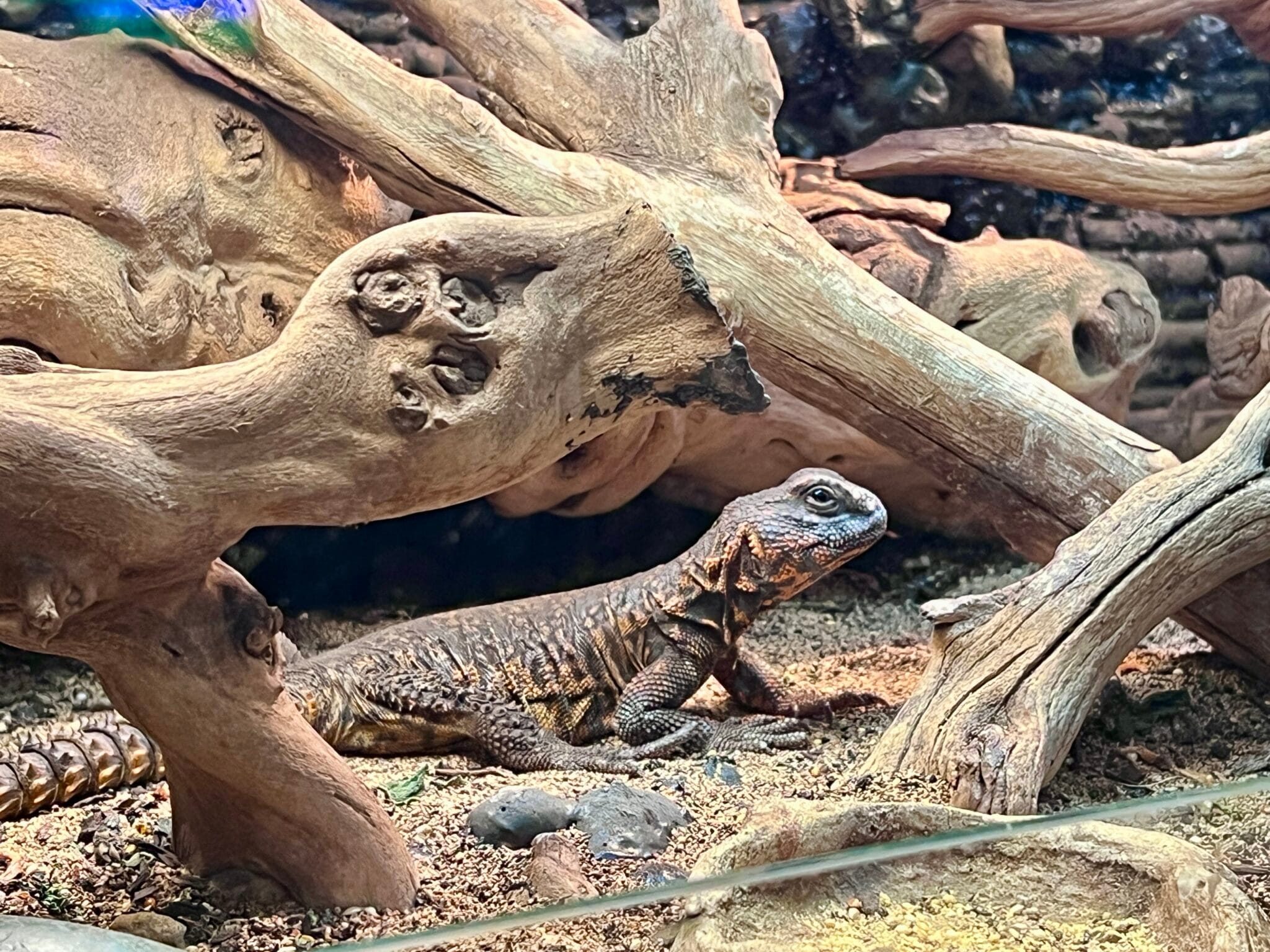 Wonders of Wetlands at Great Explorations Now Open